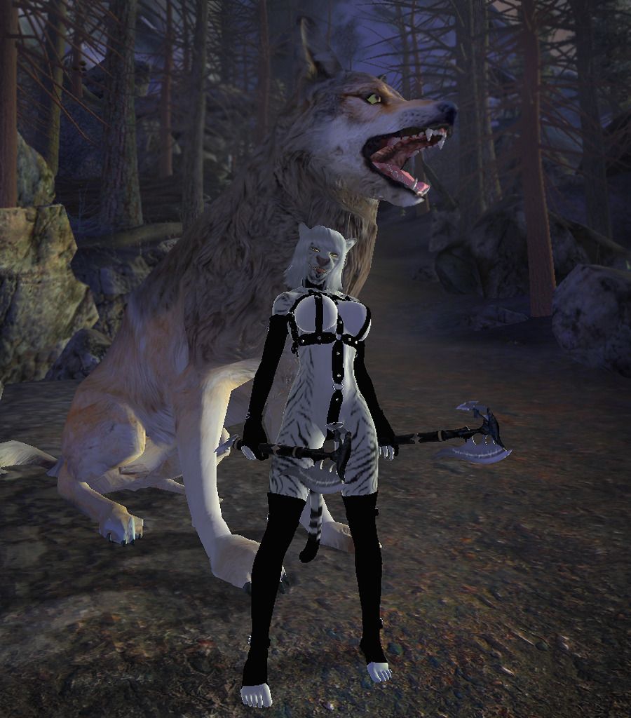 Couple Questions Oblivion General Discussion Loverslab