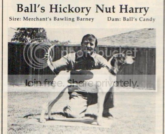 UKC Forums - Mr. Timothy Ball