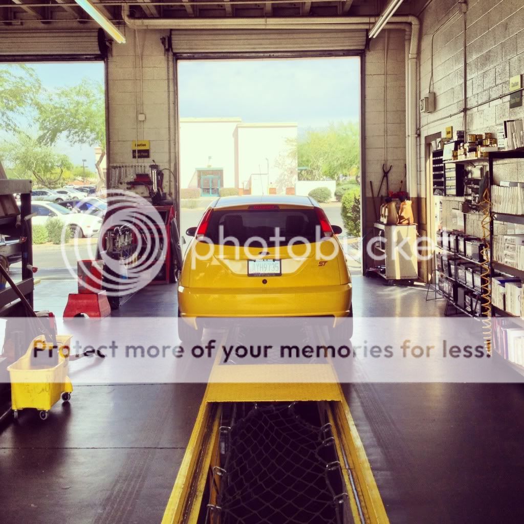 The Official Yellow Focus Thread! | Page 12 | Focus Fanatics Forum