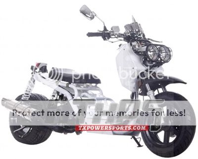 Buy NEW 50CC FULLY AUTOMATIC PMZ50-19 SCOOTER HIGH END for Sale