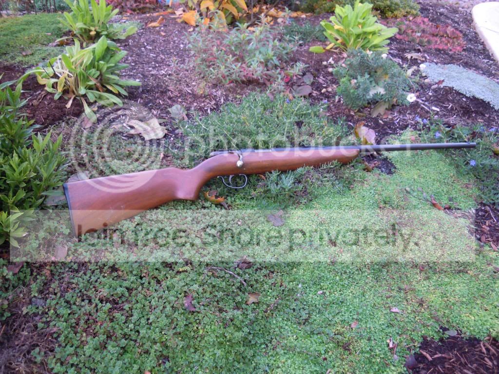 510 found today | Rimfire Central Firearm Forum