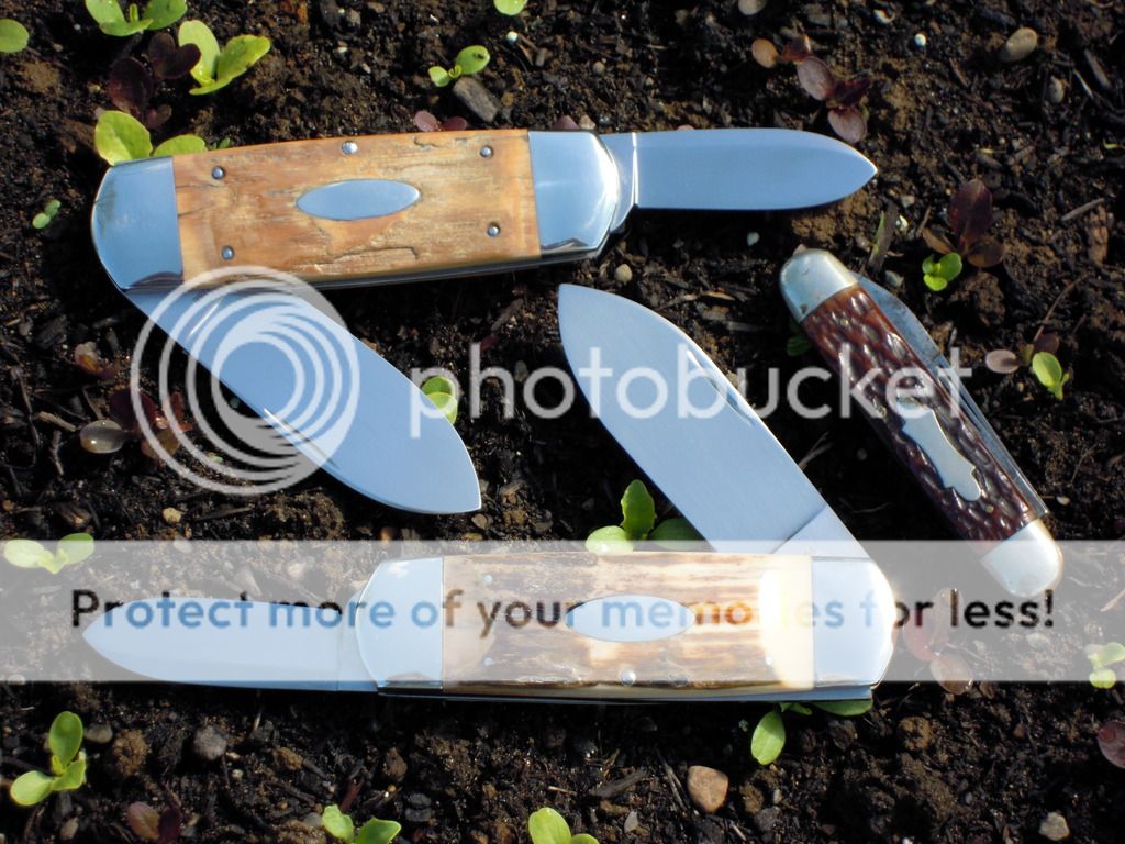 Sunfish, Elephant Toenail | Rimfire Central Firearm Forum